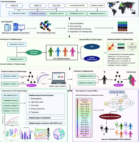 Schematic Of The Study Workflow The Schematic Of The Workflow Of The