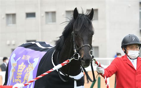 Netkeiba On Twitter 【宝塚記念】 ジャスティンパレス は鮫島克駿騎手、ボッケリーニ は浜中俊騎手、モズベッロ