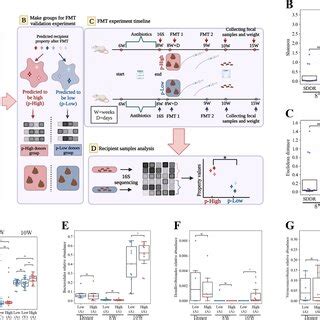 Validation Experiment A Validation Experiments Schematic Figure Step Download Scientific