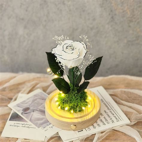 샤넬장미유리돔 배민 장보기∙쇼핑