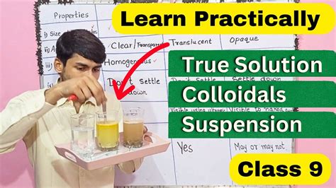 Difference Between True Solution Colloidal Solution And Suspension Class 9 Science Youtube