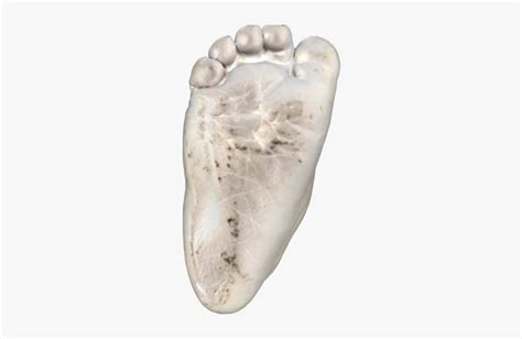 Footprint Hd Png Download Kindpng