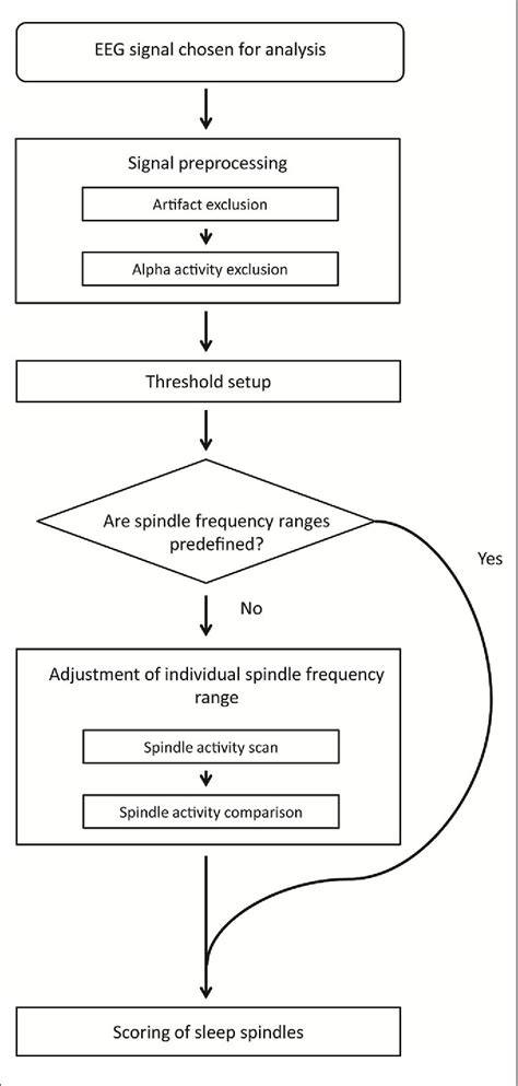 Figure 1 From Automatic Sleep Spindle Detection And Genetic Influence Estimation Using