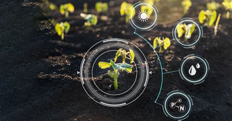 Computer Vision And Deep Learning Facilitates Precision Agriculture Xoriant