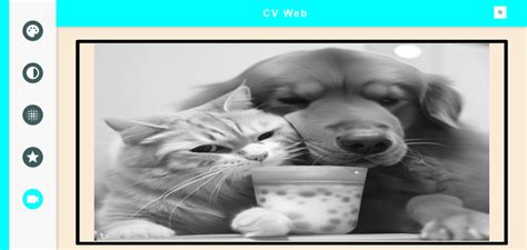 Javascript Opencv 在 Javascript 使用 Opencv 2 Homins Library