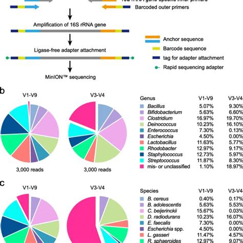 16s Rrna Gene Sequence Analysis Of Human Gut Microbiota Six Human