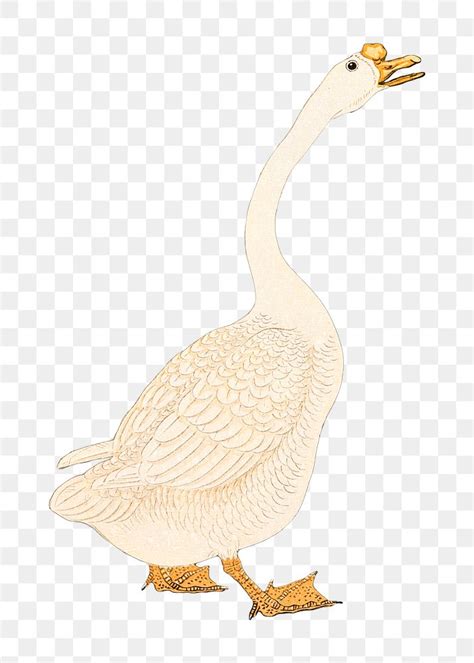 White Goose Design Element Premium Png Sticker Rawpixel