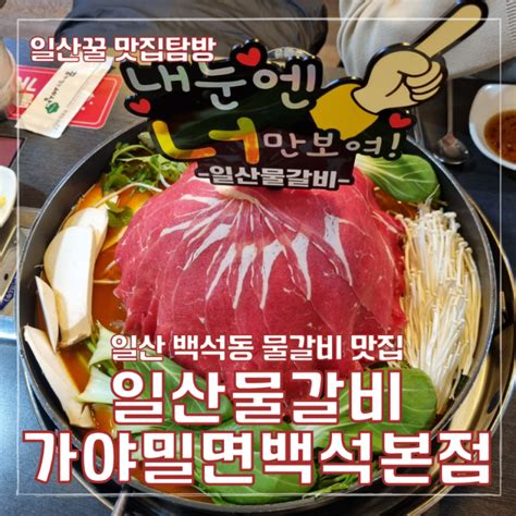 일산 백석동 맛집 일산물갈비 가야밀면 백석본점 네이버 블로그