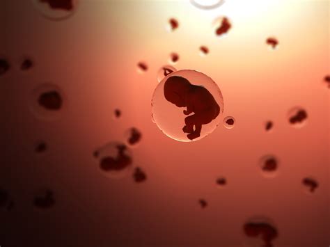 C4D 微观抽象系列 samantha513 站酷ZCOOL