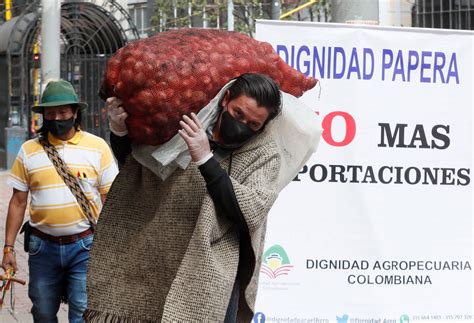 Fenavi advierte que el precio del huevo no bajaría en 2022 Infobae
