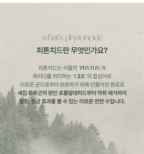 오브 피톤치드 편백오일수 스프레이 500ml 한샘몰