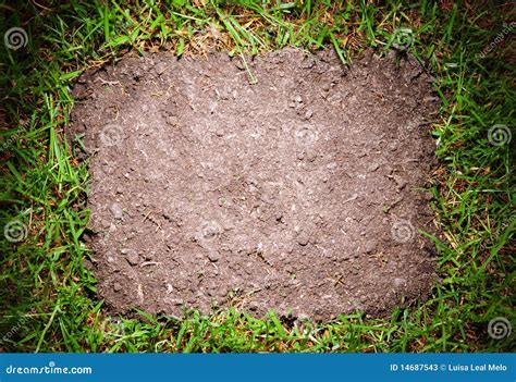 Grass Frame Stock Image Image Of Space Close Grass 14687543