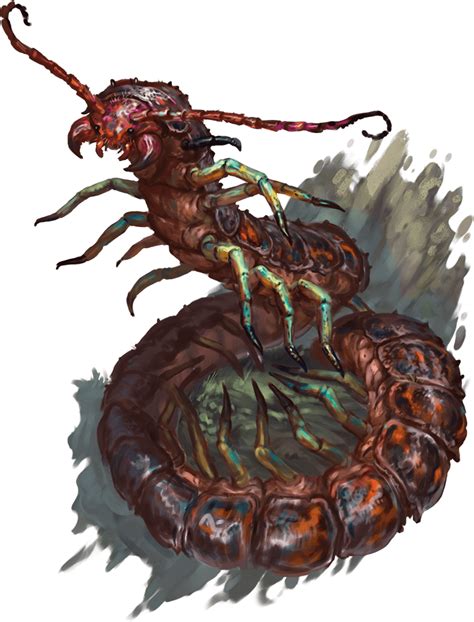 Giant Centipede Monsters Dandd Beyond