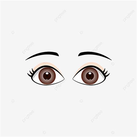 Eyes Eyebrow Vector Hd Images Vector Female Brown Eyes Eyebrows