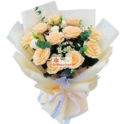 11朵香槟玫瑰时时刻刻永为伴 六朵花