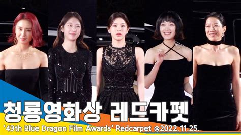 공승연・고윤정→이유미・전혜진 드레스 코드는 ‘블랙 청룡영화상 레드카펫 Newsentv Youtube