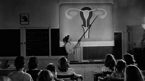 What Has Your Sex Education Been Like The New York Times