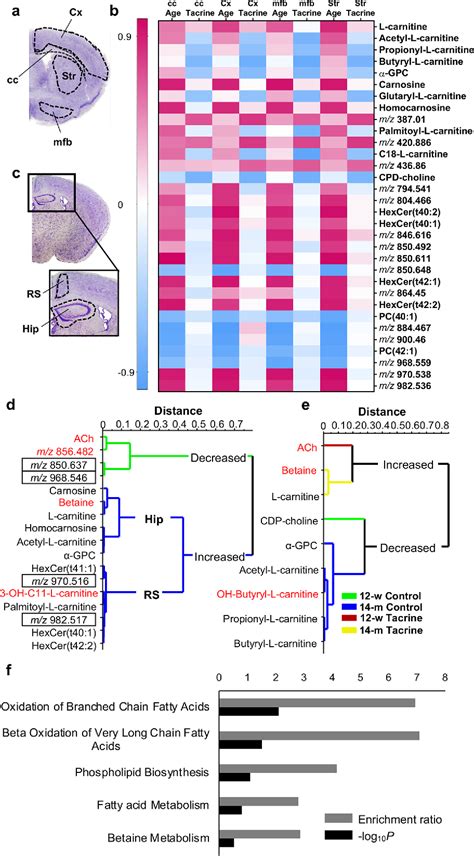Figure 1 From Integration Of Mass Spectrometry Imaging And Machine Learning Visualizes Region