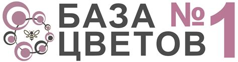 Цветы оптом в Санкт Петербурге Цветочная база