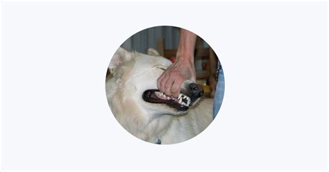 ‎sign Crushes Motorist En Apple Music