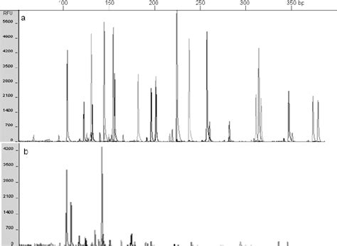 Figure 1 From Snp Minisequencing As An Excellent Tool For Analysing