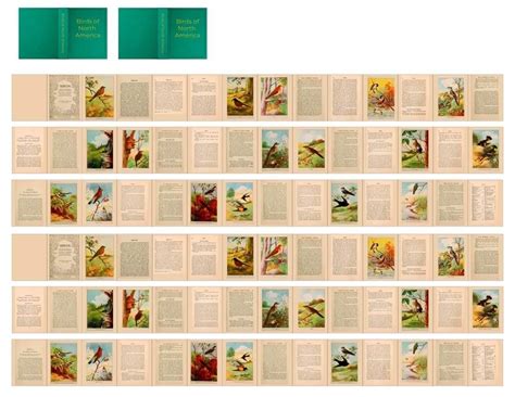 Mini Books Diy Diy Tiny Books Book Cover Diy