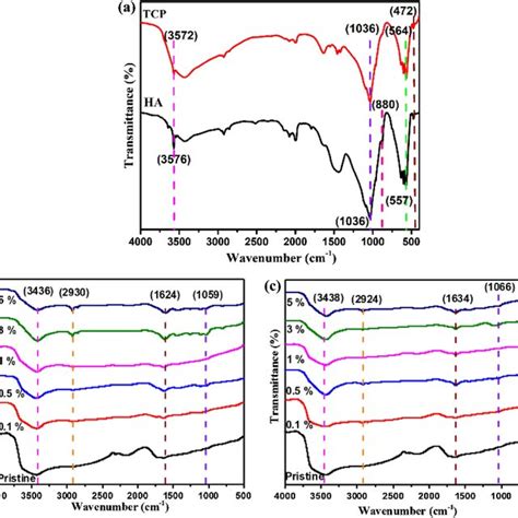 xrd diffractogram of a un annealed ha b annealed ha c gel hpmc tcp