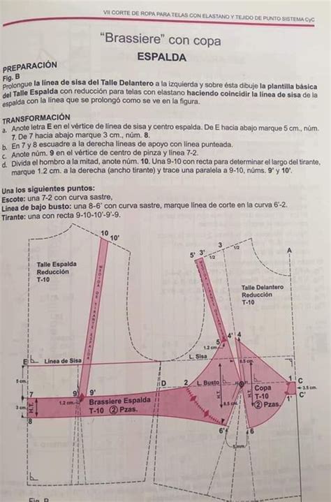 Grading The Bra Cup From Aa To G Artofit