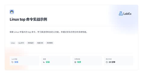Linux Top 命令实战示例 Labex