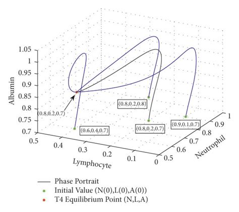 Phase Portrait Of The System Solution With Four Different Initial Download Scientific Diagram