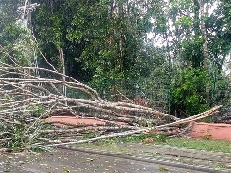 Manaus Fica Com 20 Dos Bairros Sem Energia Por Causa De Forte Temporal