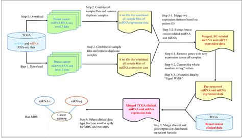 Schematic Diagram For The Pre Processing Workflow And Learning Dag