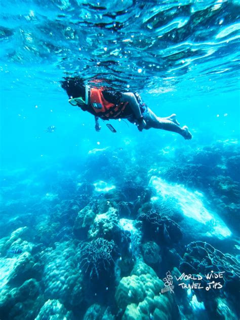 Snorkeling South Padre Island The Complete Guide