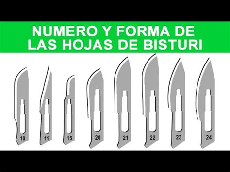 Tipos De Hojas De Bisturí TIPOSDE