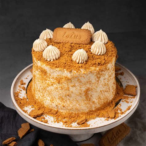 35 Best Biscoff Recipes From Cakes To Brownies And Cookies All Made