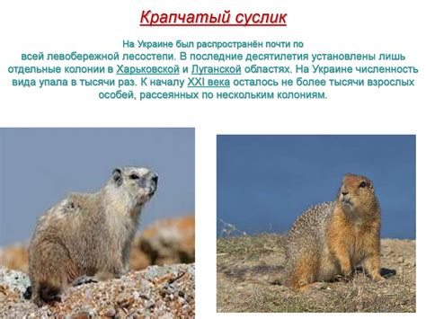 Животные Красной книги Украины презентация онлайн