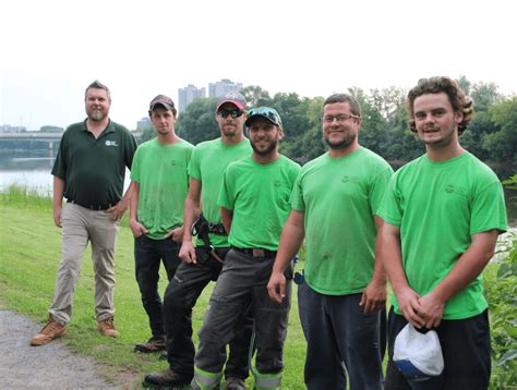 Why Does Your Tree Have Mushrooms On It Croft Tree Experts