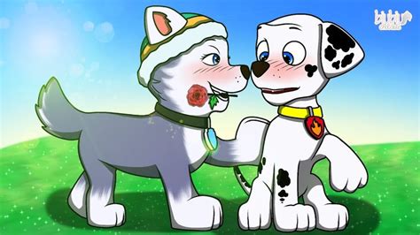 Undo Marshall X Everest Moment When Everest Confess Her Feeling Paw Patrol Cartoon Paw Patrol