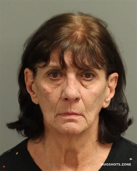 Haran Maryann 11072024 Wake County Mugshots Zone