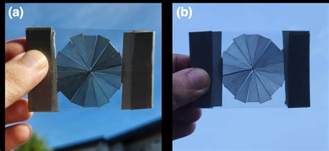 Real Life Observations With The Diy Radial Polarizer In A Clear And