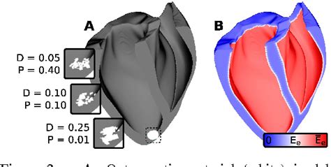 Figure 2 From A Computational Framework For Simulating Cardiac Optogenetics Semantic Scholar