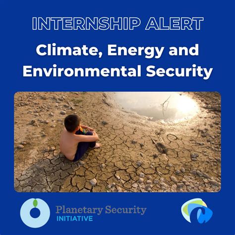 The Clingendael Institute On Linkedin Internship Career