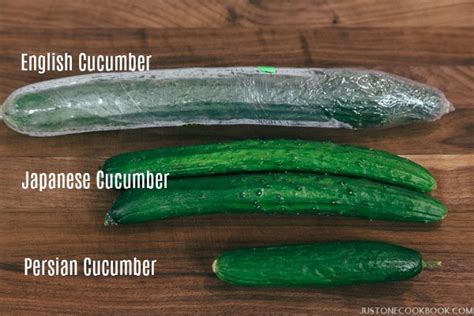Japanese Cucumber • Pantry • Just One Cookbook
