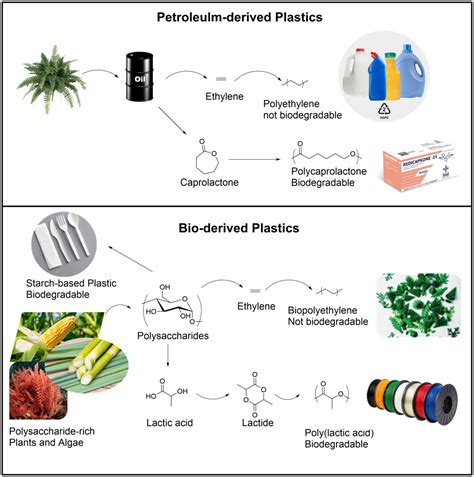 Examples Of Bioplastics