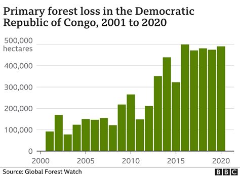 Global Deforestation Graph