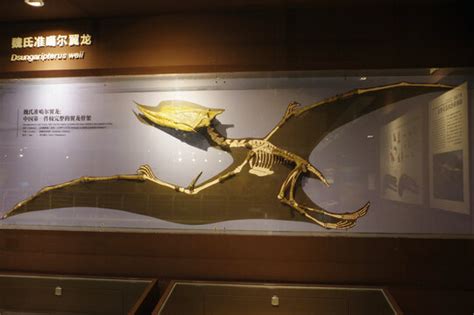 魏图片素材 魏设计素材 魏摄影作品 魏源文件下载 魏图片素材下载 魏背景素材 魏模板下载 搜索中心