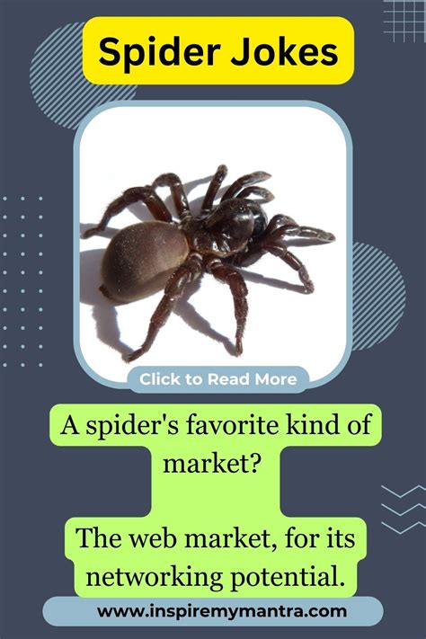 200 Spider Jokes Entangle In Fun And Humor