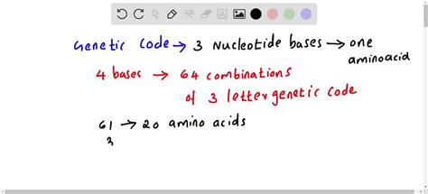 Solved Which Statement Best Explains Why There Are 64 Possible Codons