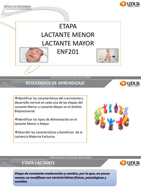 Etapa Lactante Menor Lactante Mayor Pdf Sistema Respiratorio