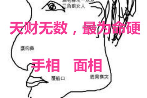 身体有3种“缝隙”的人，天财无数，最为命硬